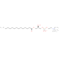 LysoPC(14:0/0:0) – Xcess Biosciences