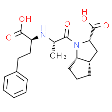 Ramiprilat – Xcess Biosciences