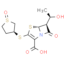 Sulopenem – Xcess Biosciences